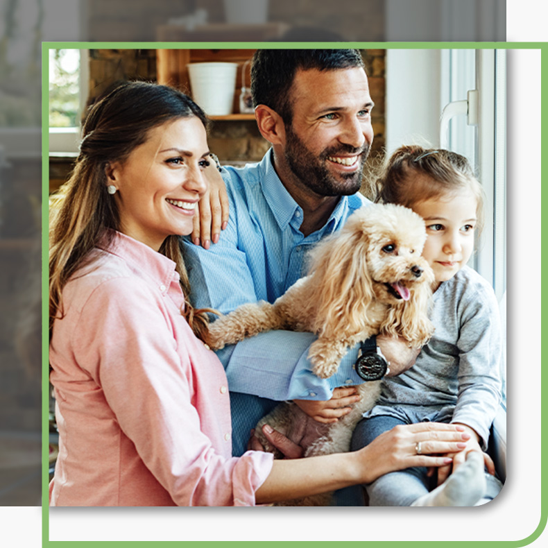 Pest Control in Boston | Residential & Commercial | Pestex